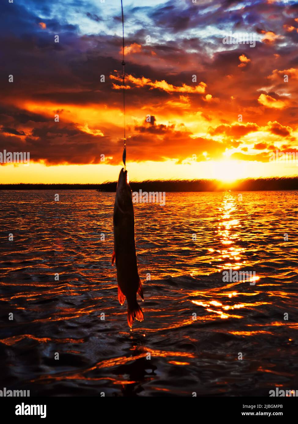 Fishing at sunset. Catching predatory fish on spinning. Sunset colors ...