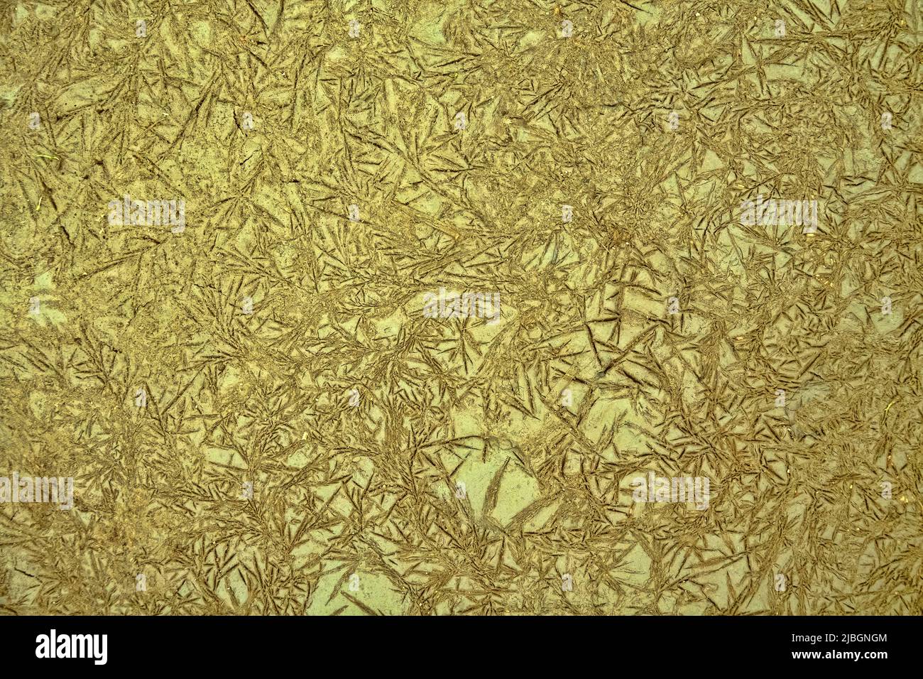 frost flower (frosting), ornamental pattern. Background and example for ...