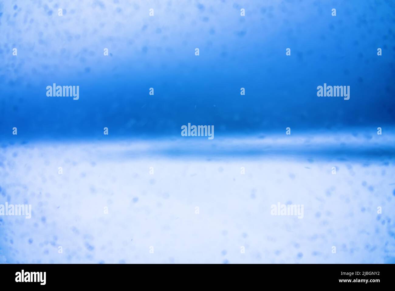 Snowdrift on young sea ice. Ground blizzard with strong winds ...