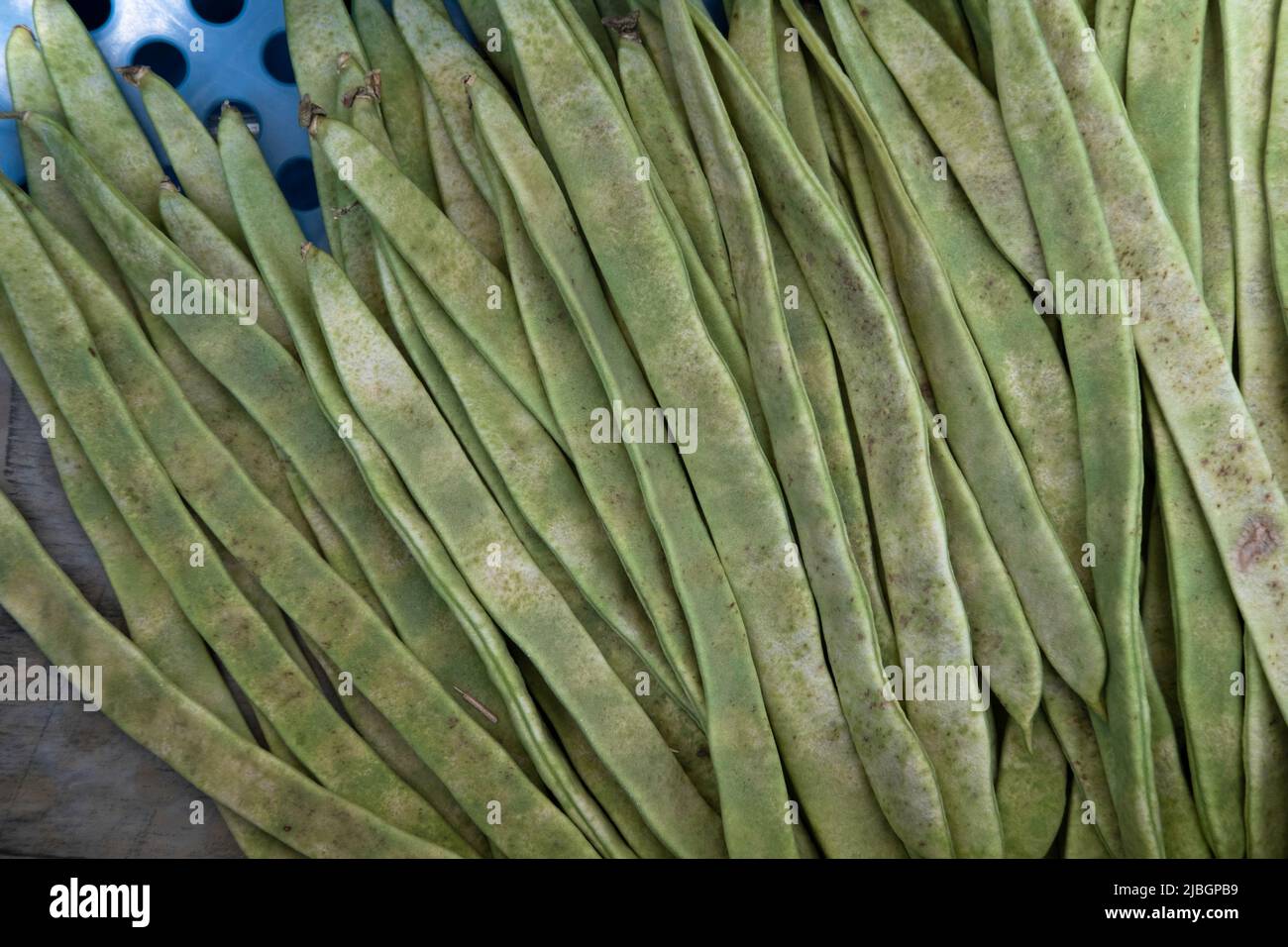 Fresh green or string beans in a tray in the supermarket. Green string ...