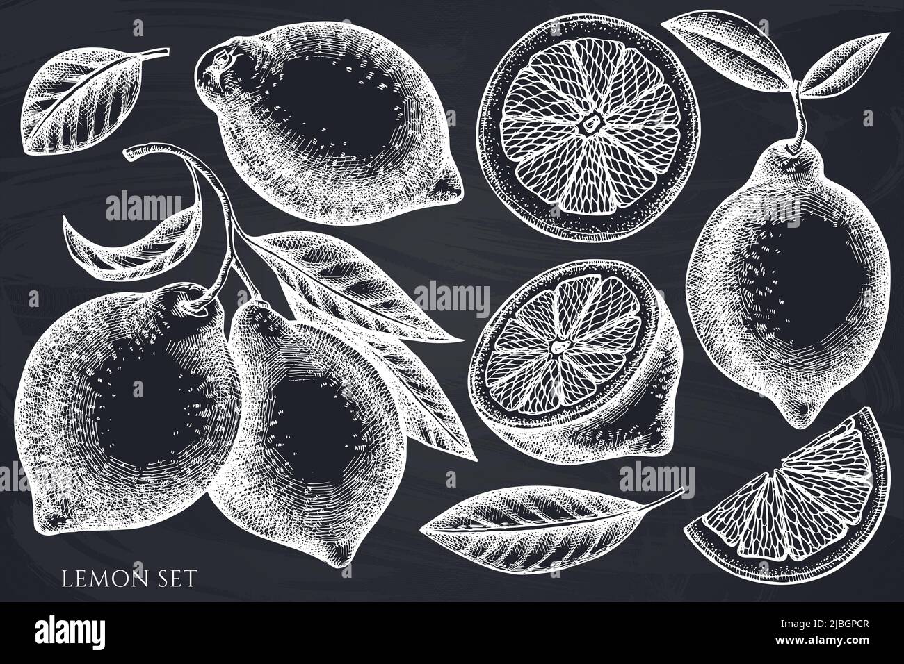 Citrus hand drawn vector illustrations collection. Chalk lemon Stock ...