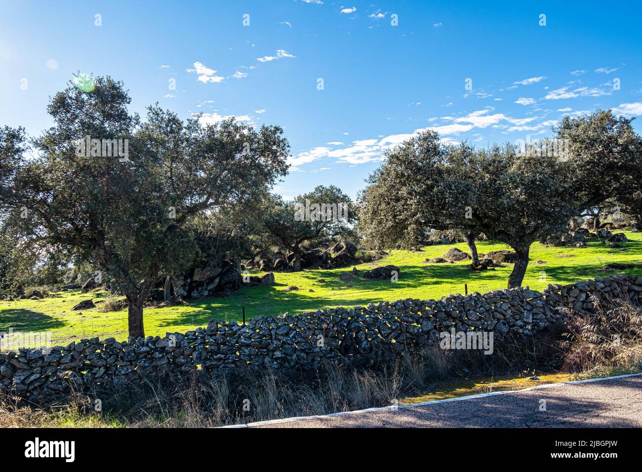 The amazing Dehesa Extremena with old stone fences at Montanchez in ...