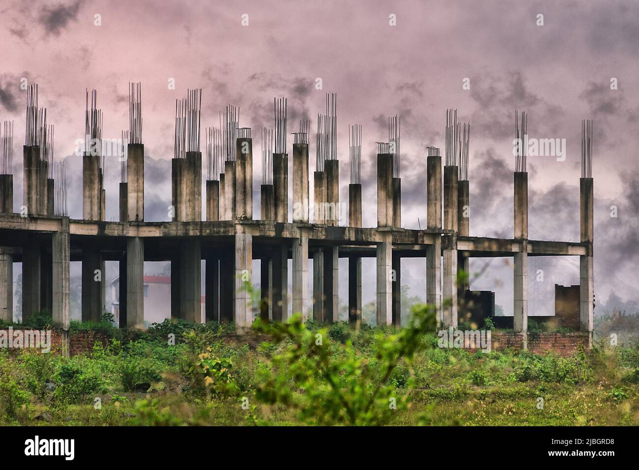 The construction of a multi-storey building (concrete pillars) has ...