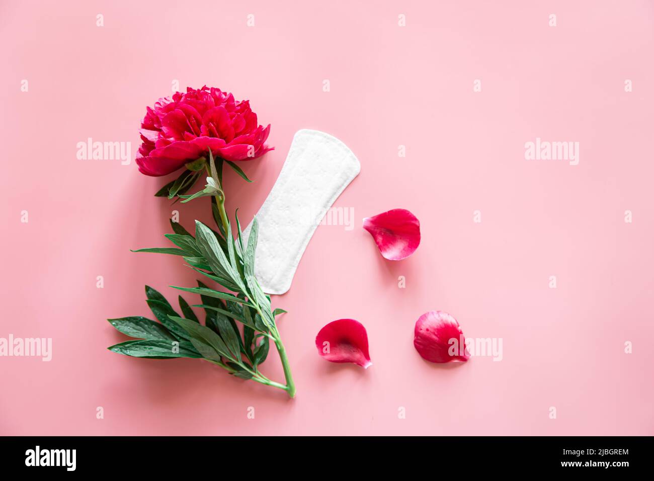Women's pad and flower, flat lay, women's health and menstruation ...