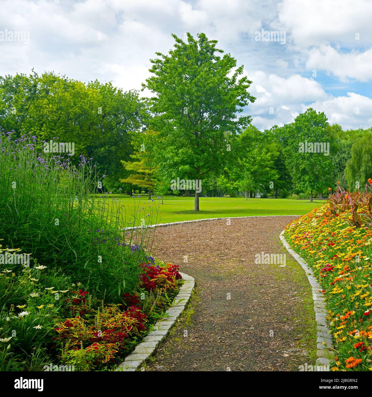 Beautiful meadow with flowers and path in public park Stock Photo - Alamy
