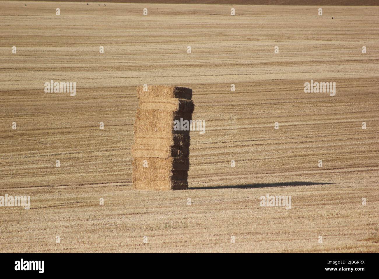 Straw cuboid hi-res stock photography and images - Alamy