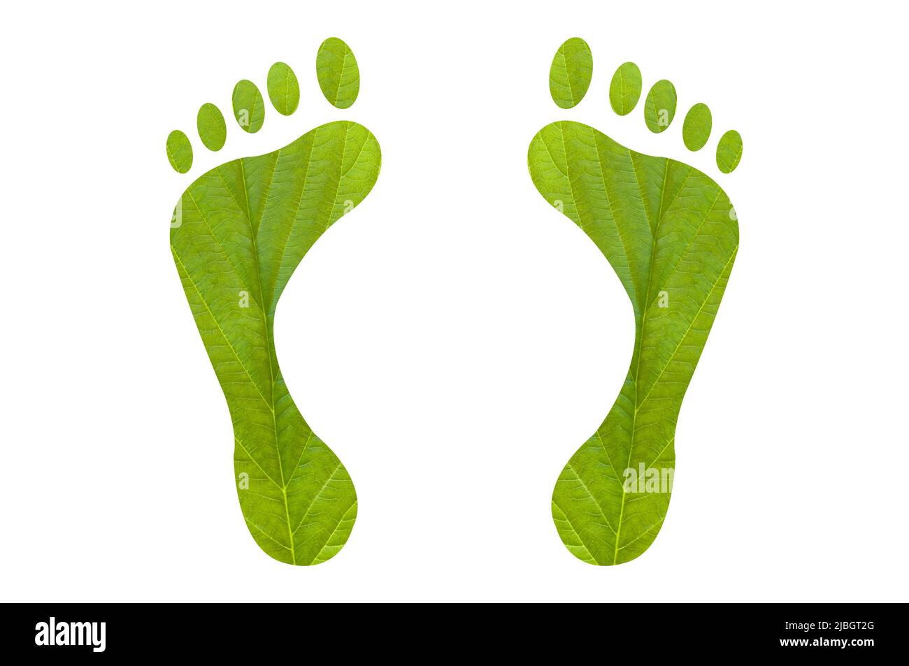 Two footprints in leaves hi-res stock photography and images - Alamy