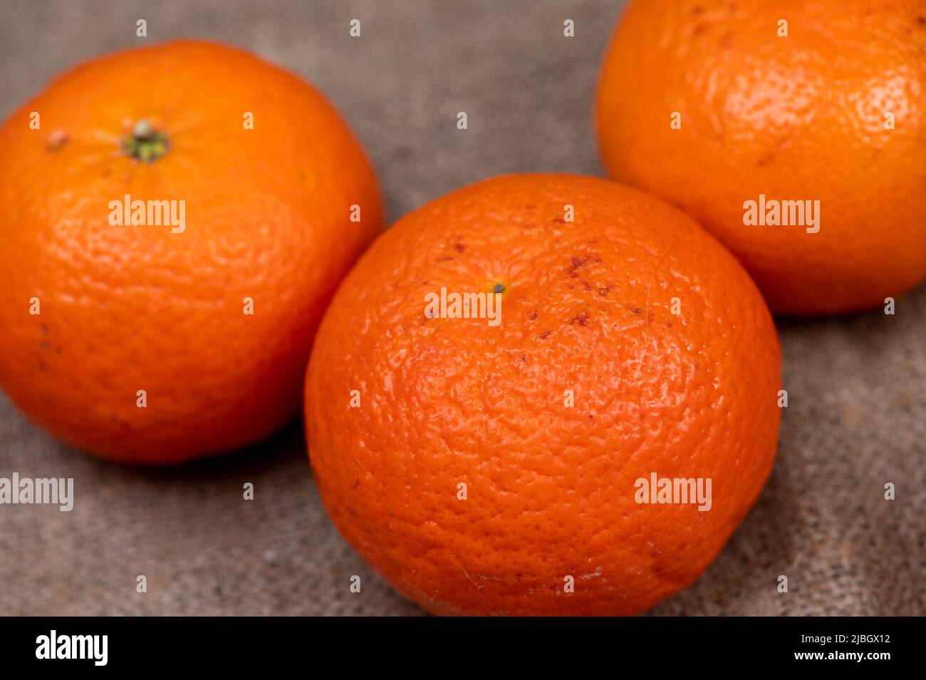 Three tangerines on a table covered with a homespun cloth with a rough ...