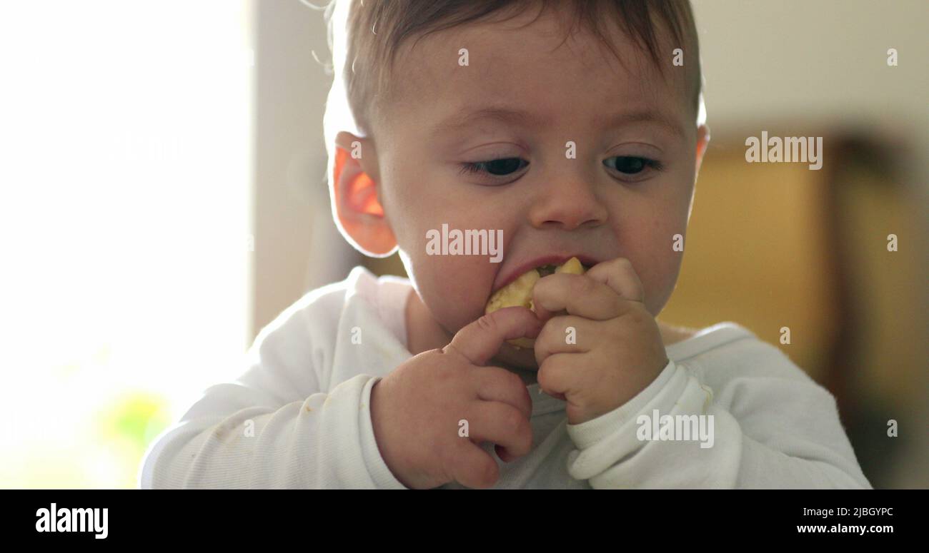 Messy baby infant eating applie fruit Stock Photo - Alamy