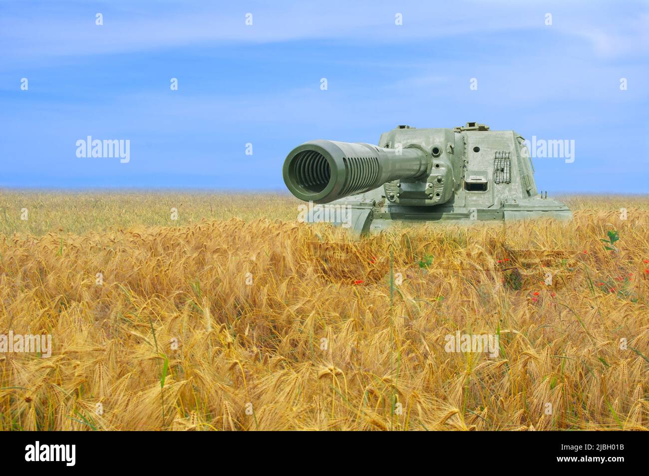 Military cannon in yellow hi-res stock photography and images - Alamy
