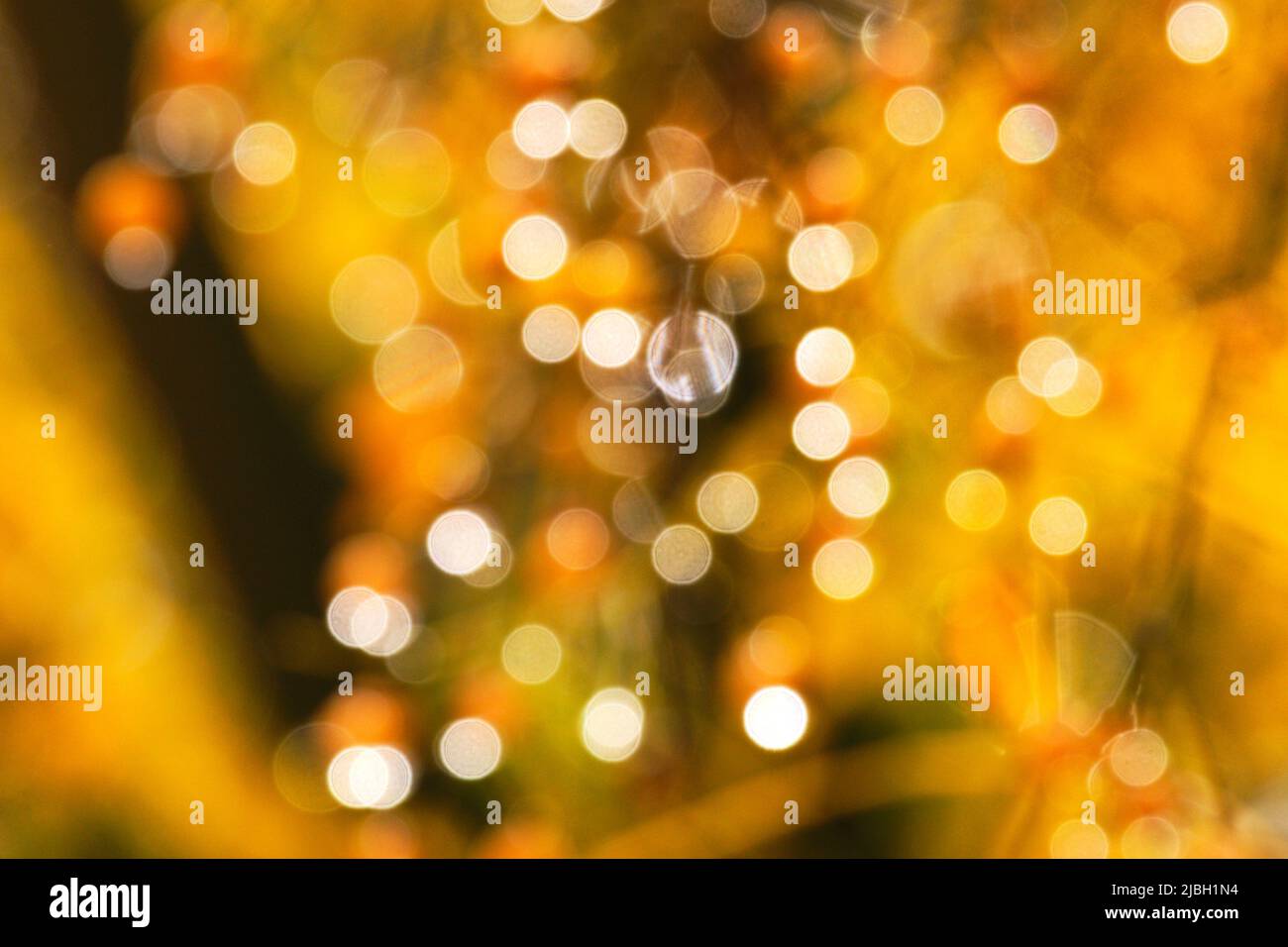 Blur an image for backgrounds and textures Stock Photo - Alamy