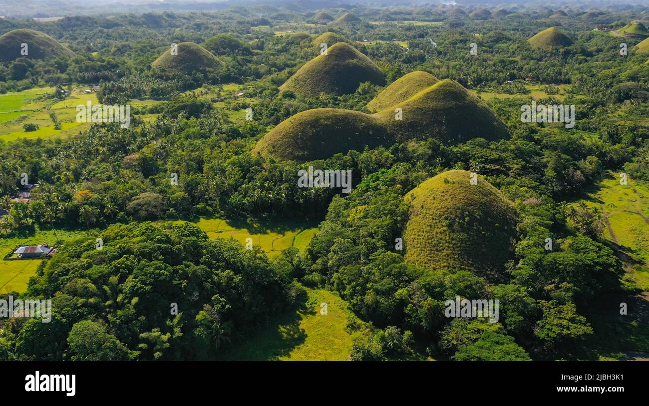 Tropical landscape: Chocolate hills is a famous tourist attraction on ...