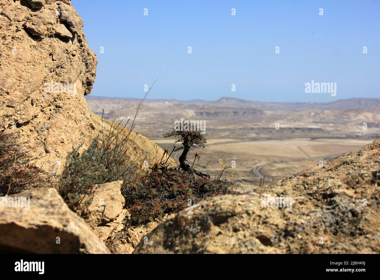 Large granite boulders in the mountains. The city of Primorsk ...