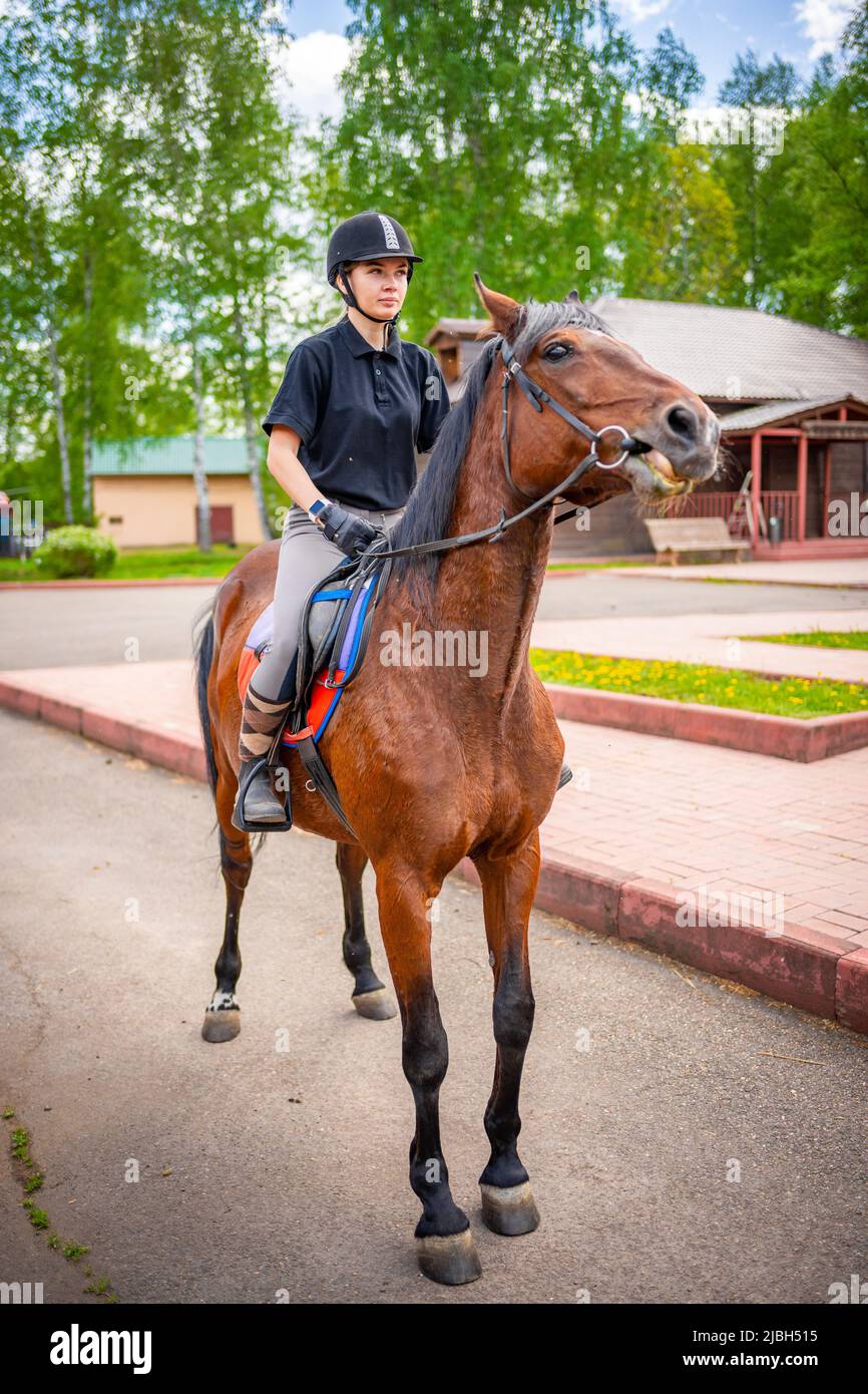 Professional animal trainer horse hi-res stock photography and images ...