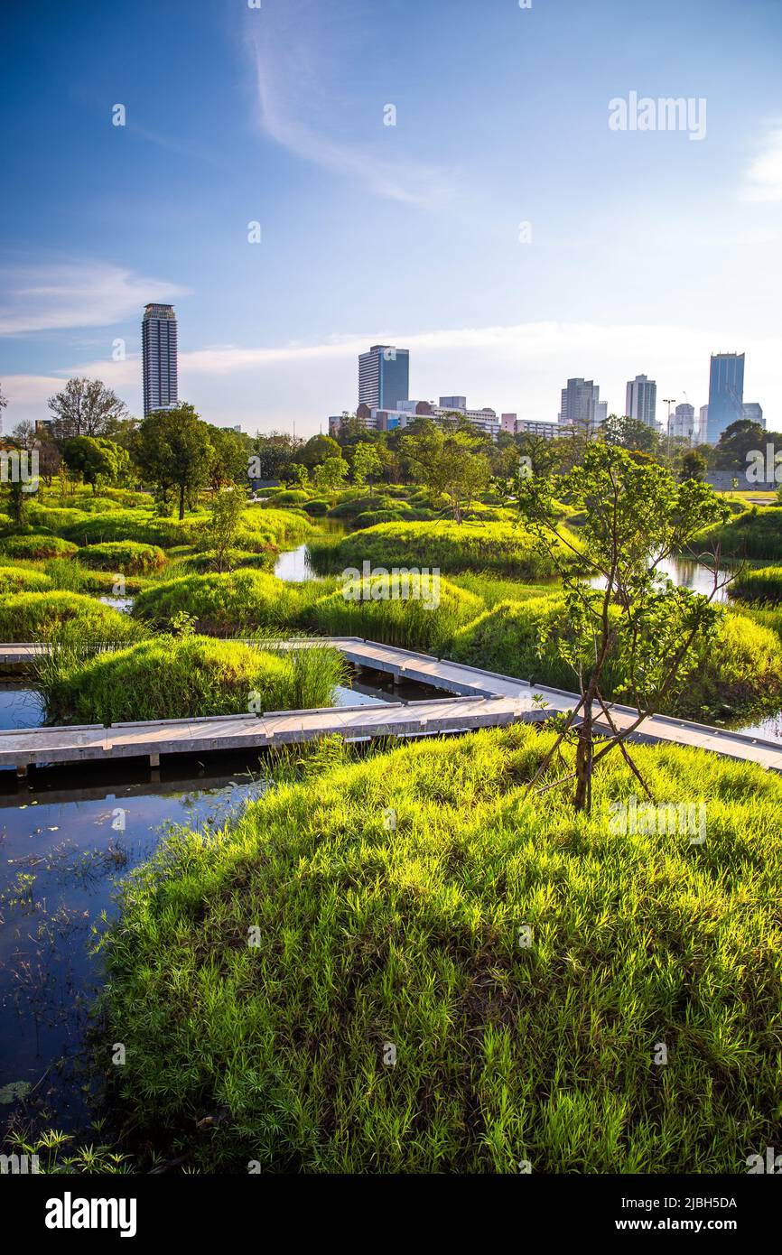 Benjakitti forest park hi-res stock photography and images - Alamy