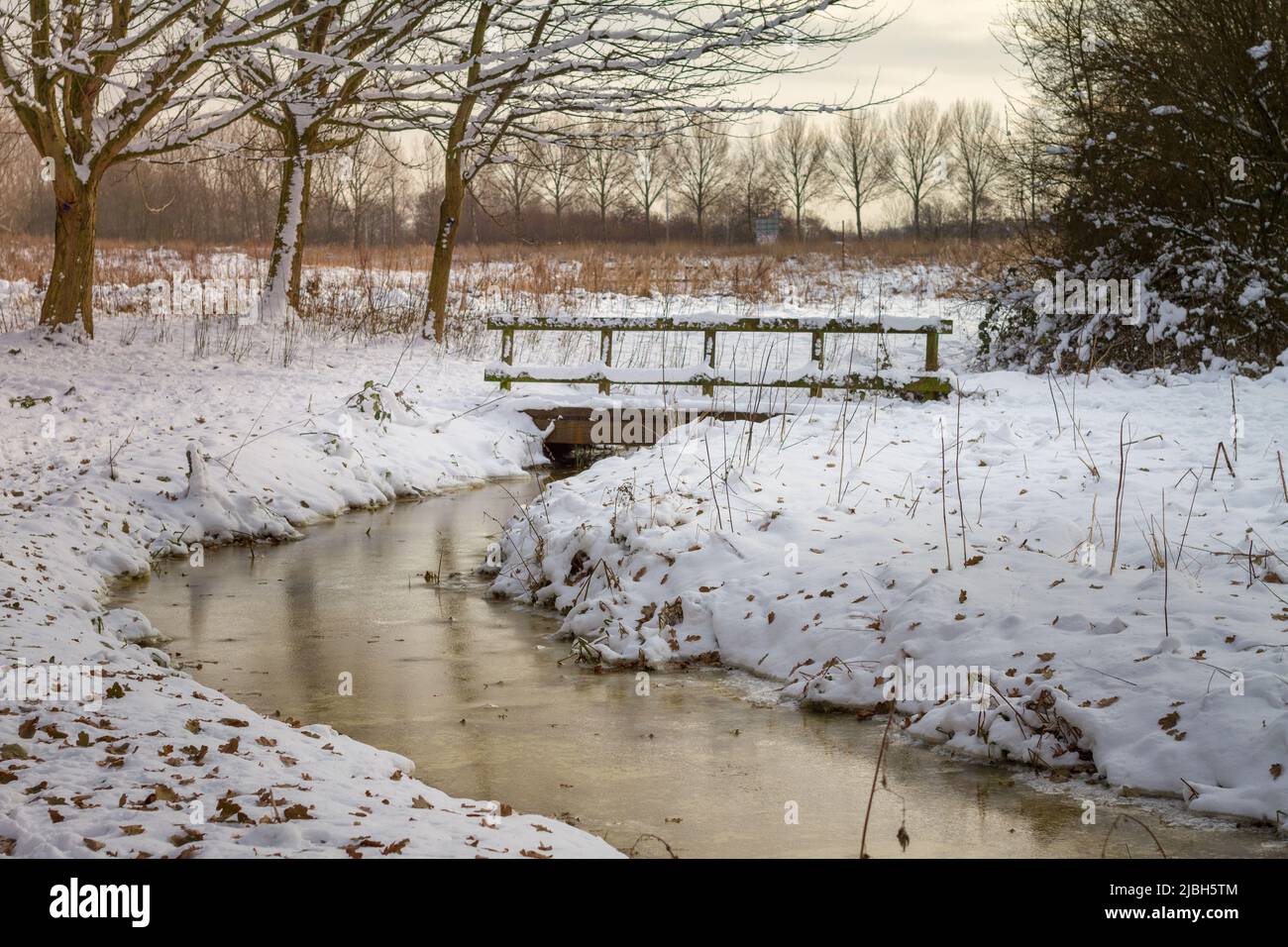 Landscape scenery of Netherlands countryside Stock Photo - Alamy