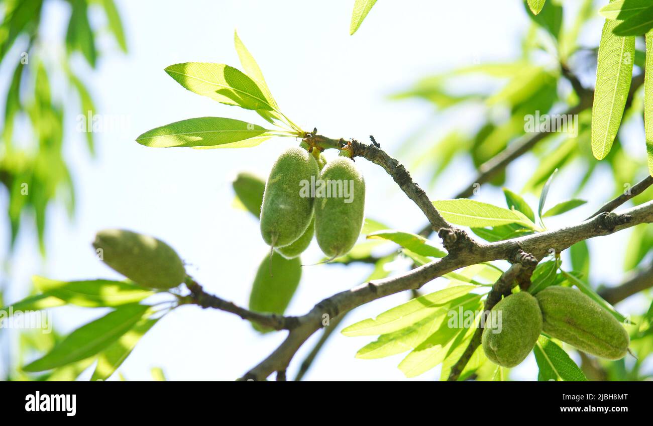 Torre baro barcelona hi-res stock photography and images - Alamy
