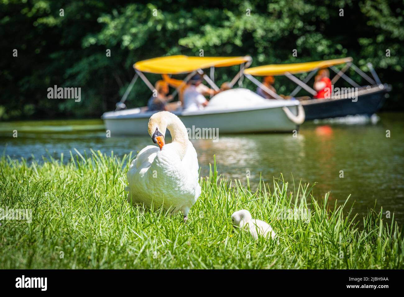 The castles of Laxenburg are located in the municipality of Laxenburg ...