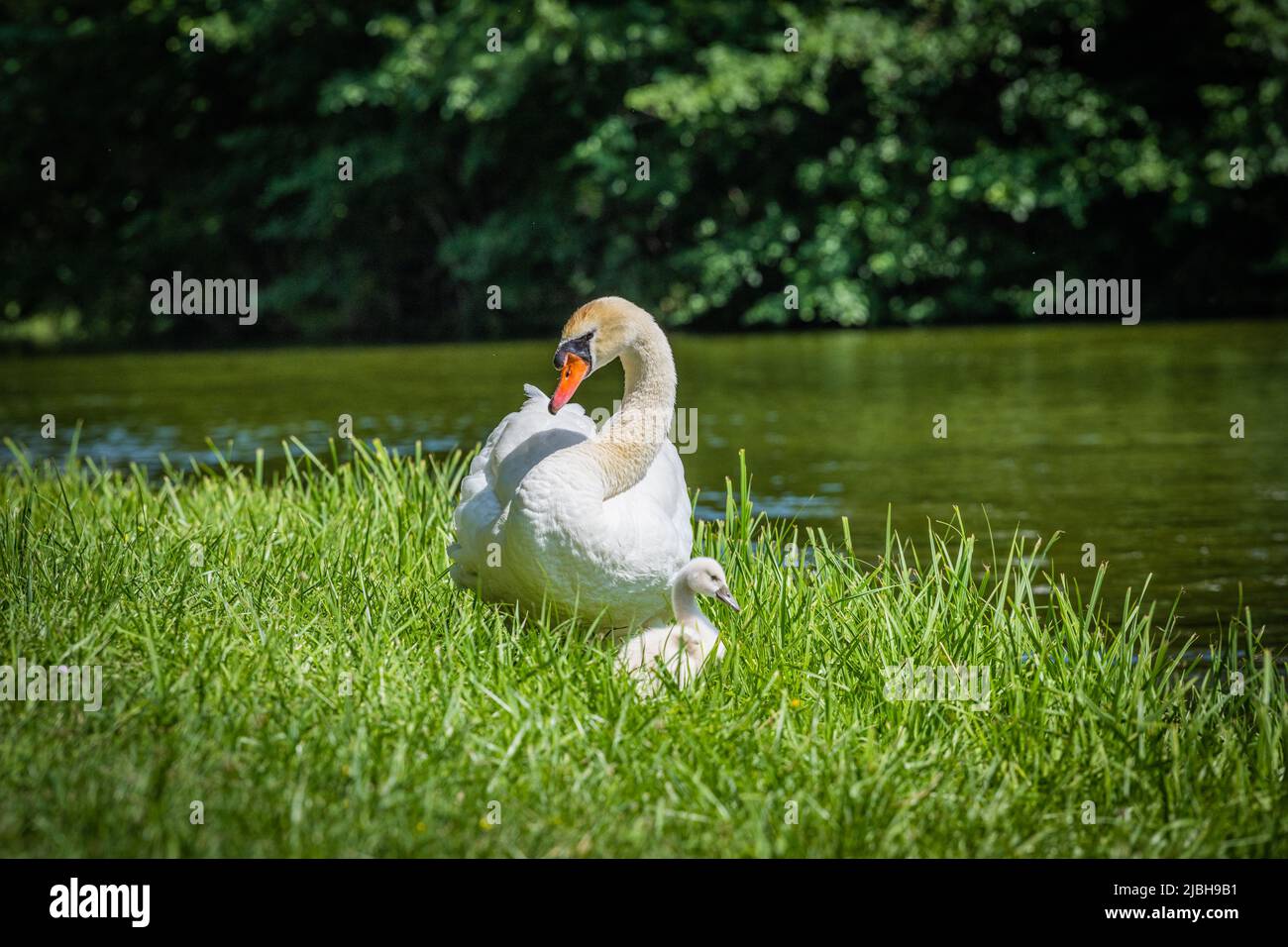 The castles of Laxenburg are located in the municipality of Laxenburg ...