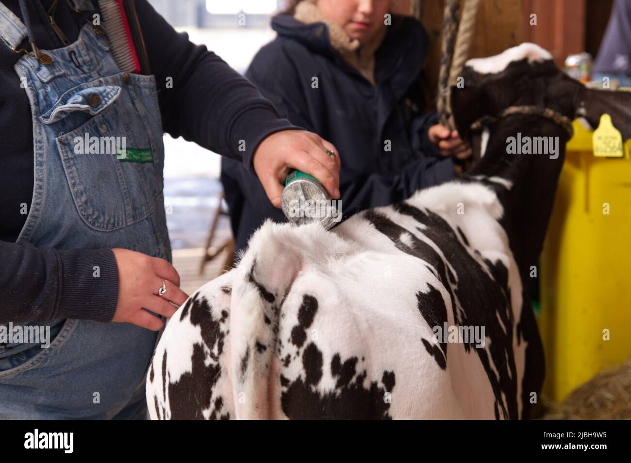 Preparation grooming hi-res stock photography and images - Alamy