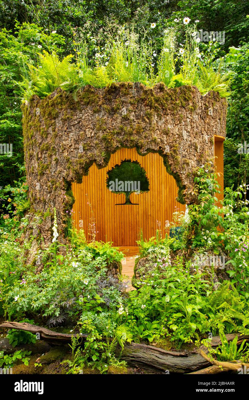 Tree stump and feature hi-res stock photography and images - Alamy