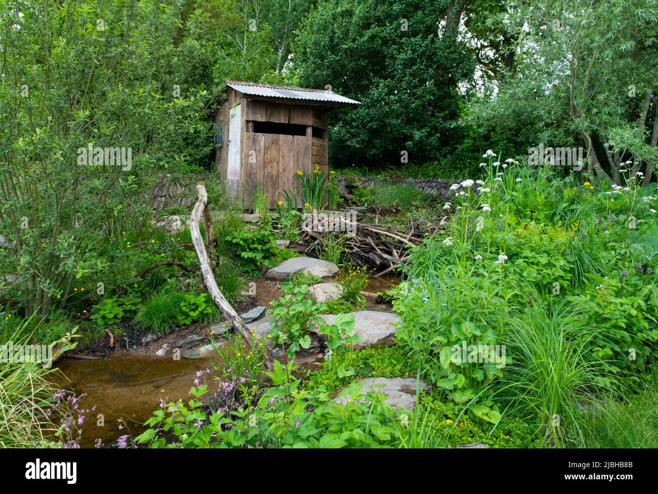A viewing hide, beaver dam and stepping stones across a stream ...