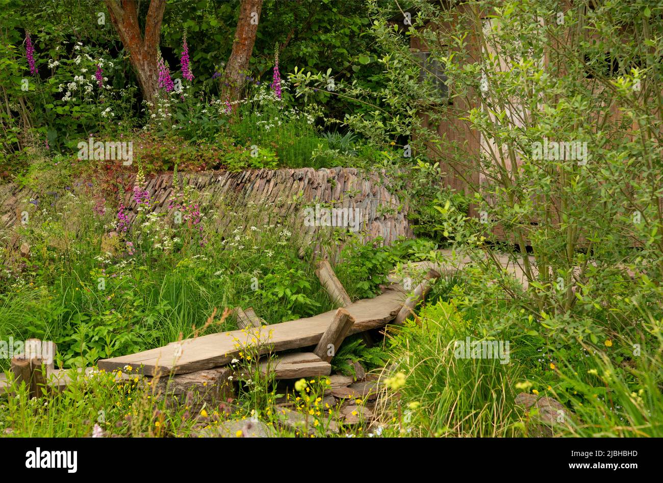 The Rewilding Britain Garden at the RHS Chelsea Flower Show 2022 Stock ...