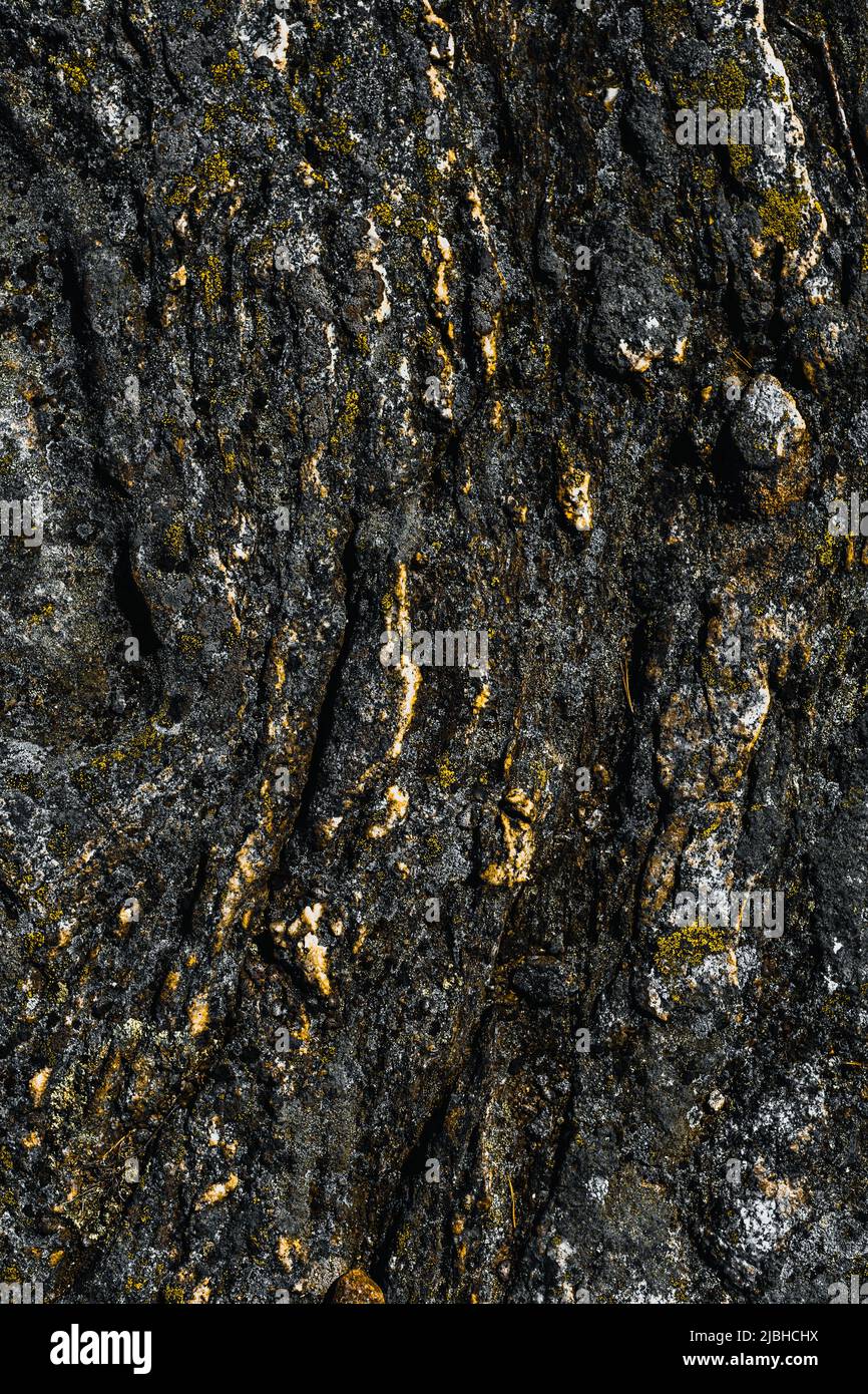 Golden ground texture Stock Photo - Alamy