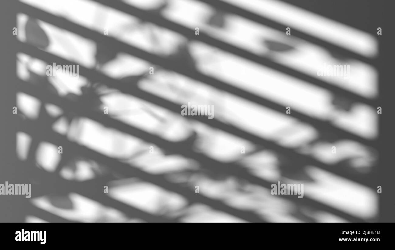 Game of shadow with blinds and trees blend effect Stock Photo - Alamy