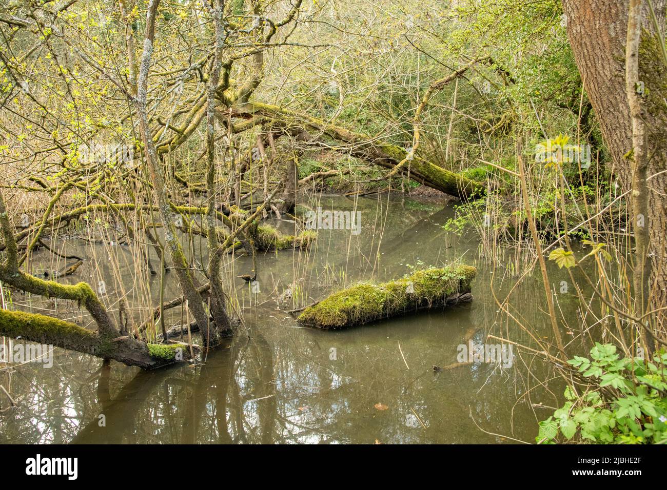 Wirral park hi-res stock photography and images - Alamy
