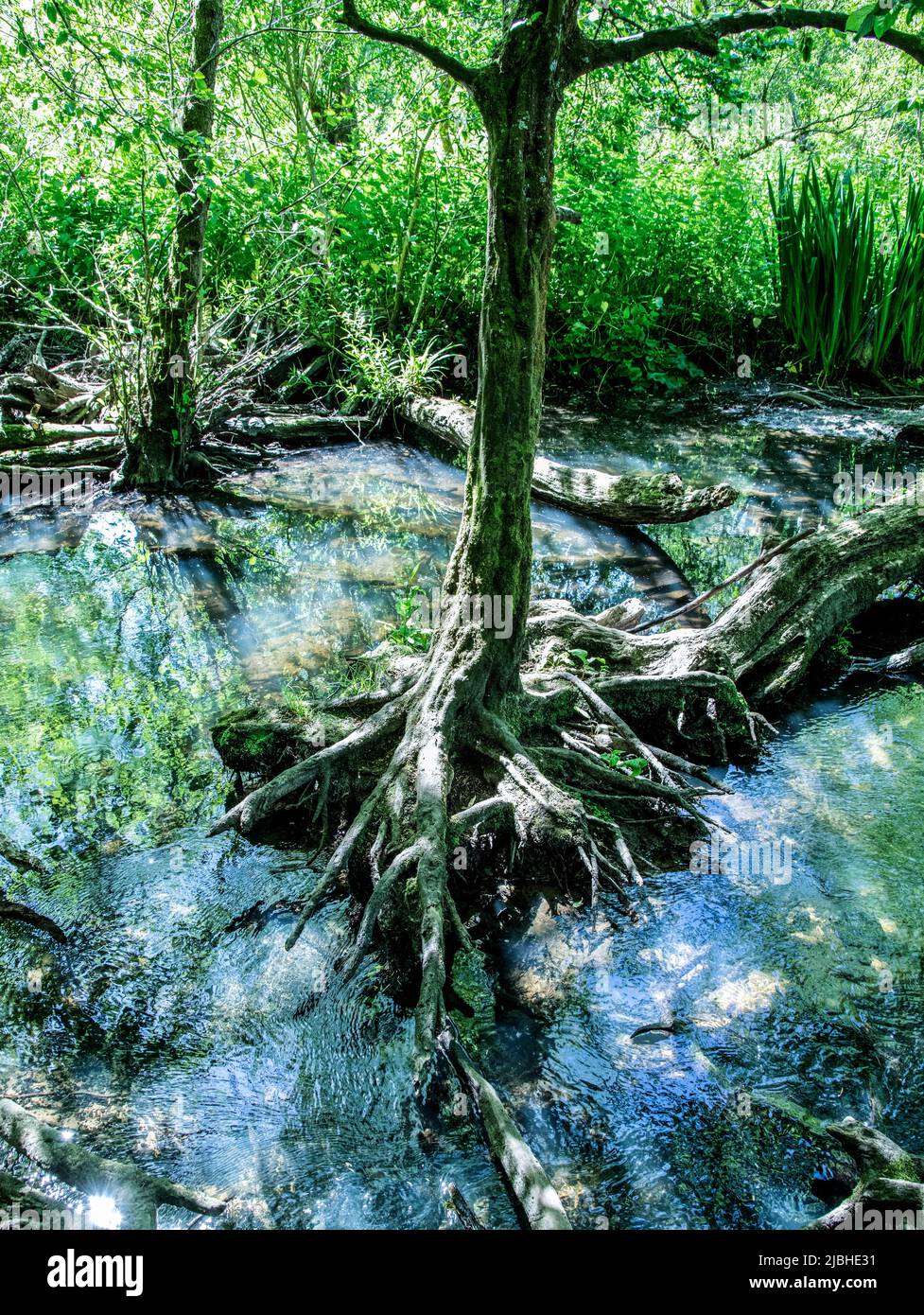 Brotherton hi-res stock photography and images - Alamy