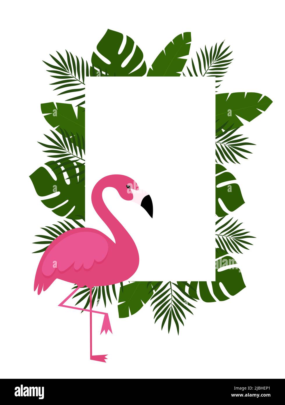 Summer postcard background with tropical plants and flowers, flamingos ...