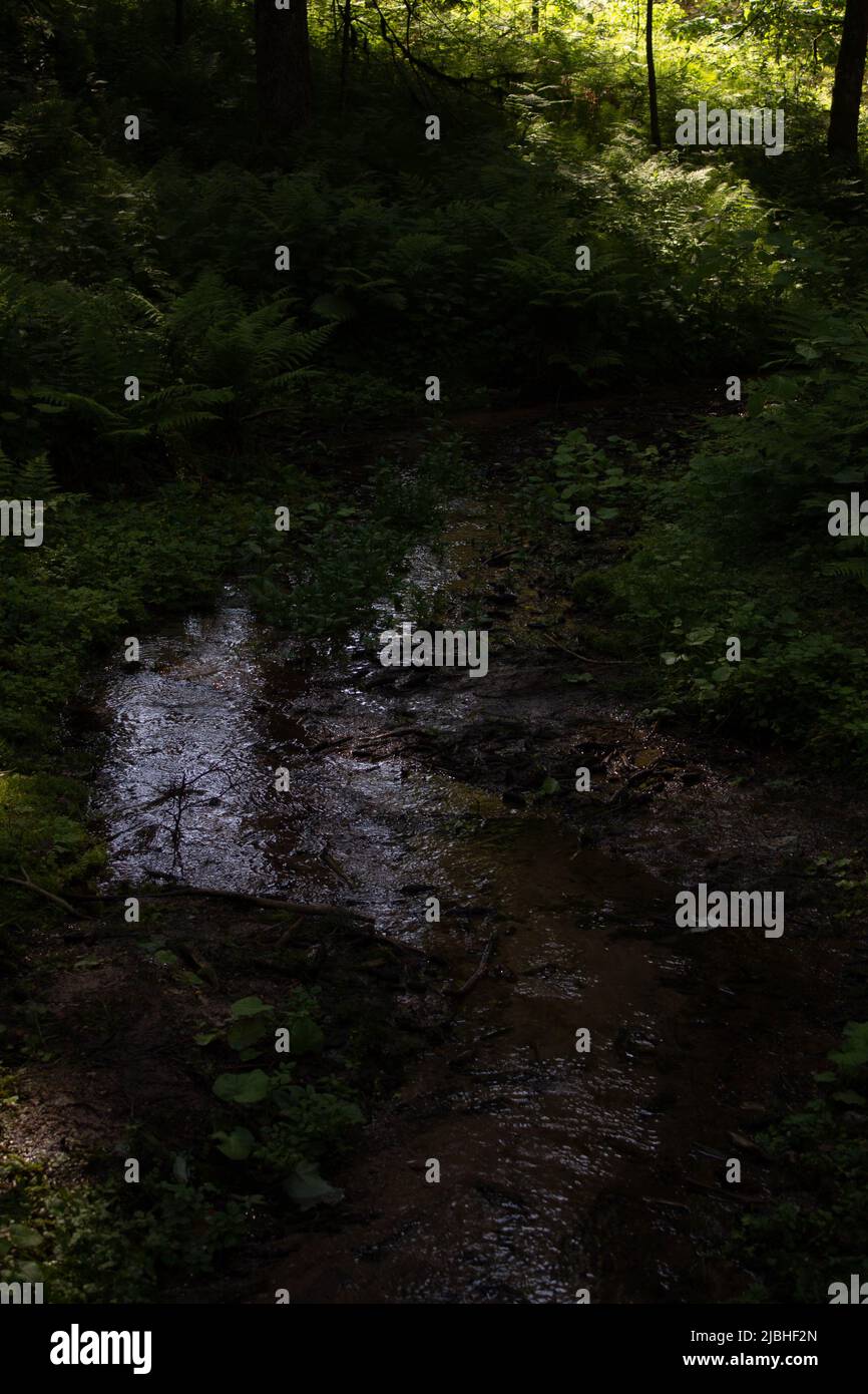 Refreshing shade hi-res stock photography and images - Alamy