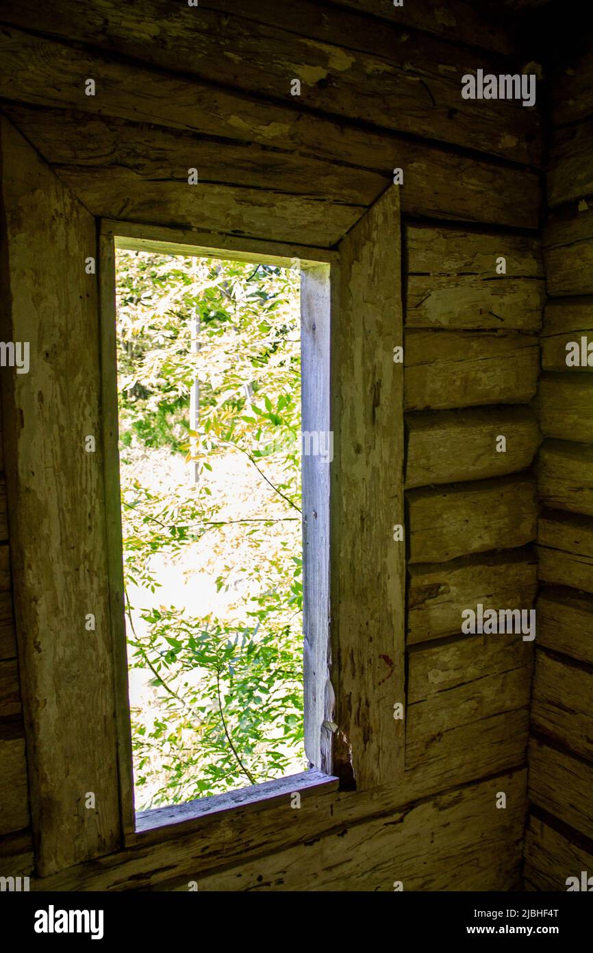 Abandoned wooden manor lost in the woods, window into the wild Stock ...