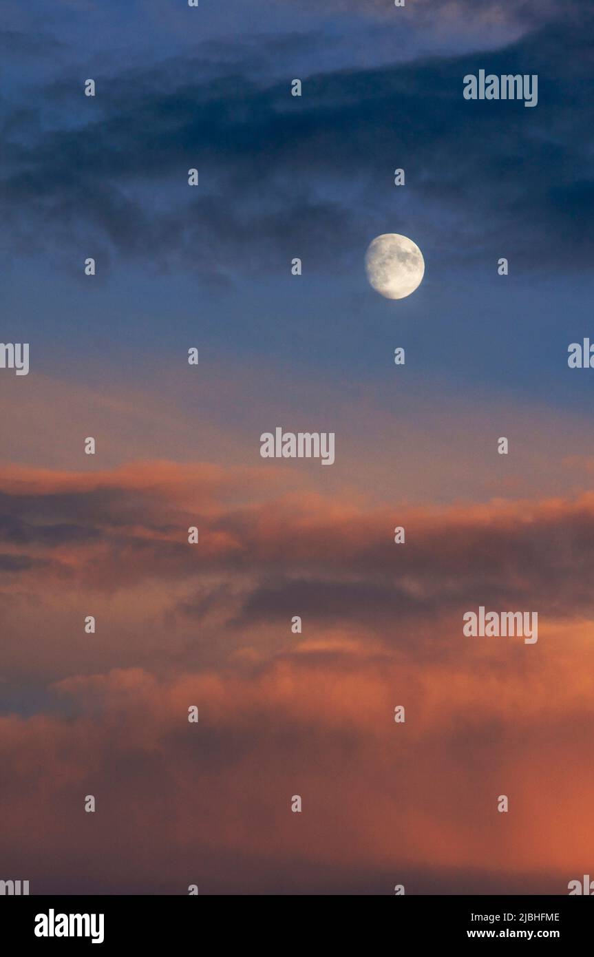 An almost full September moon in a pretty autumn evening sky with ...