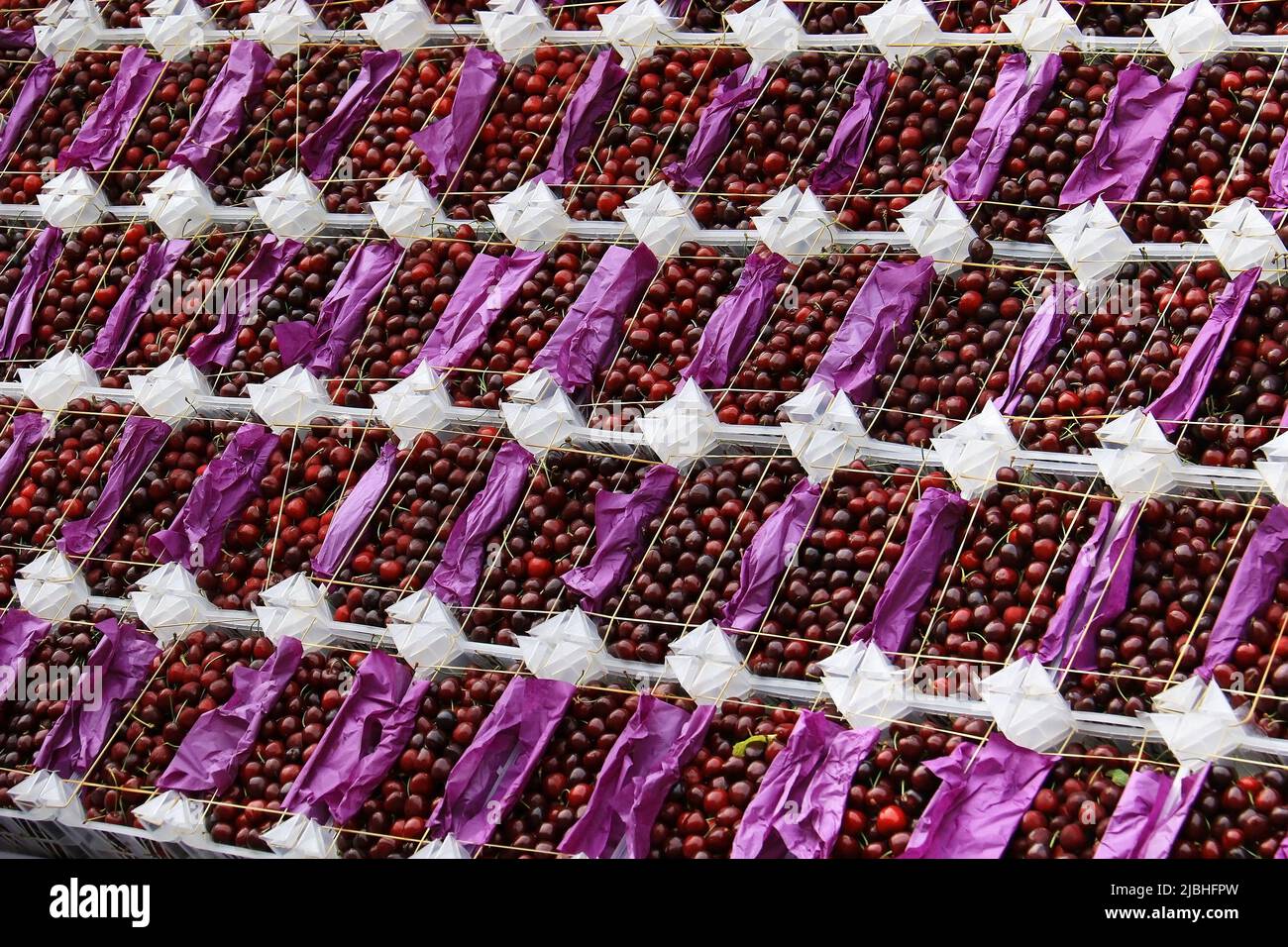Market display of packs of fresh red cherries Stock Photo - Alamy
