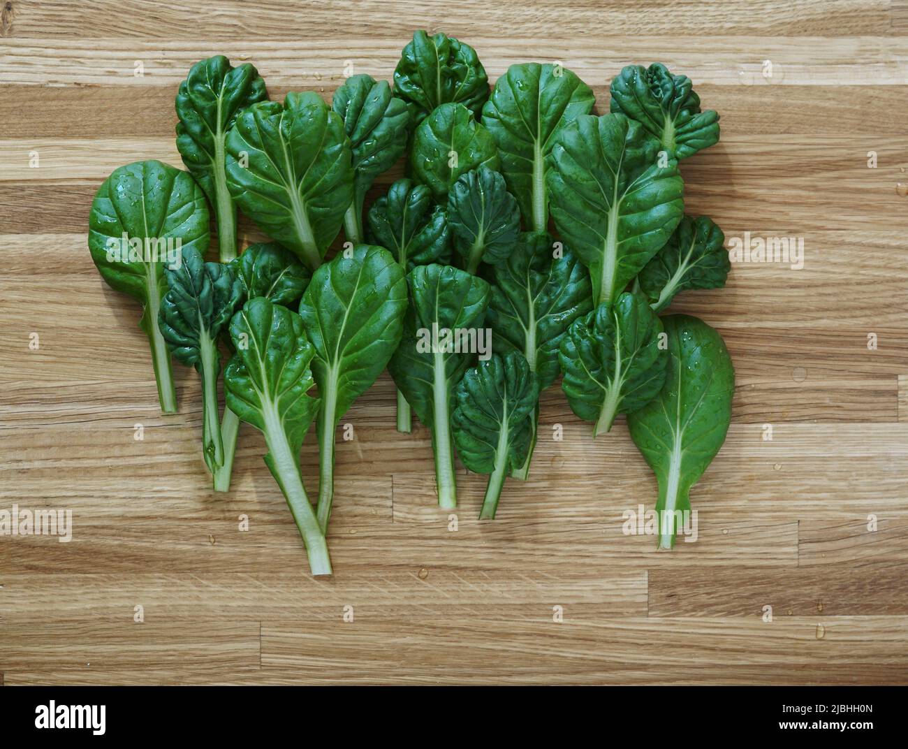 Baby leaf pak choi hi-res stock photography and images - Alamy