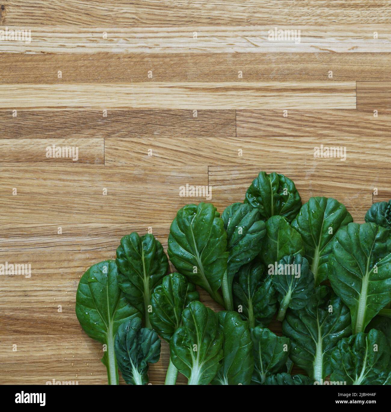 Vegetable, Delicious Fresh Green Bok Choy, Pok Choi or Pak Choi on ...
