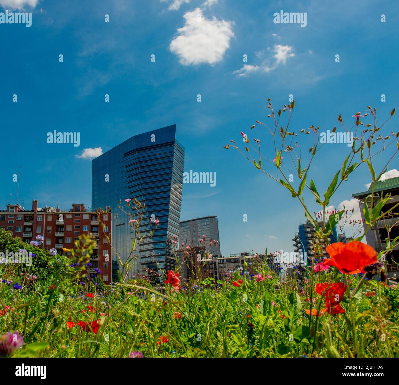 Glass skyscraper surrounded by flowering field Stock Photo - Alamy