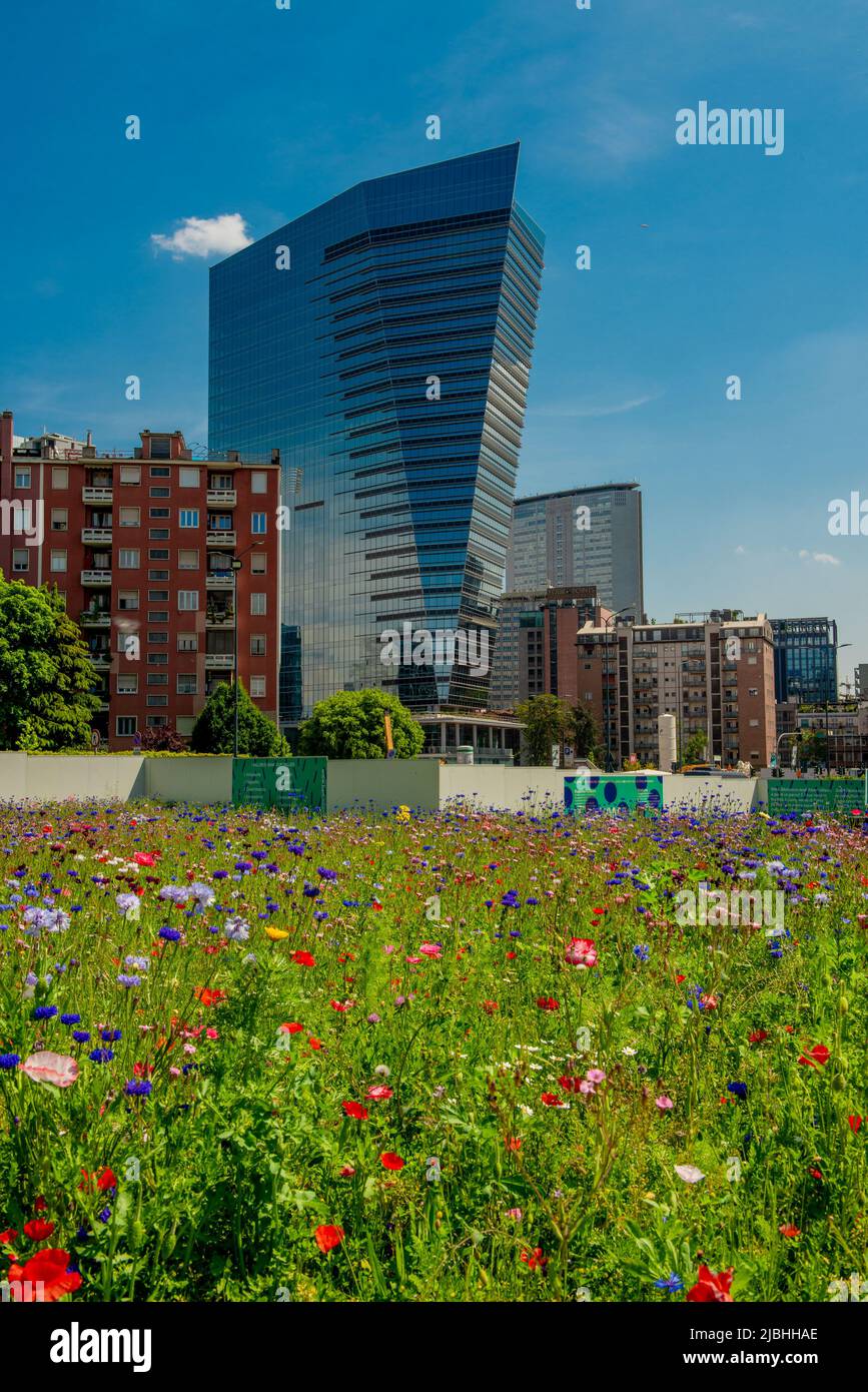Glass skyscraper surrounded by flowering field Stock Photo - Alamy