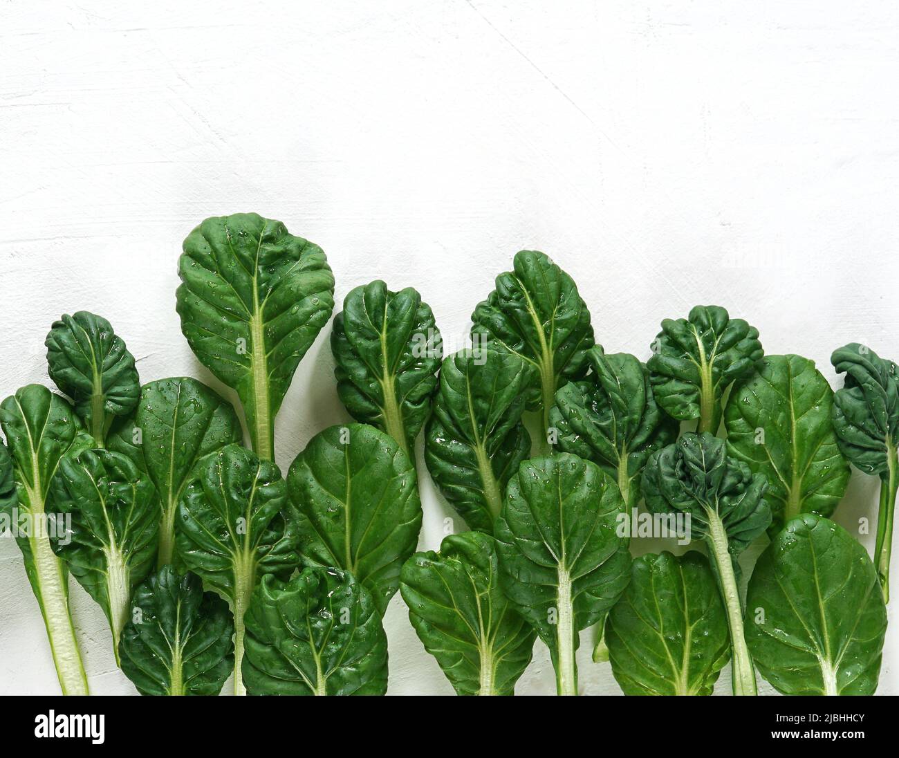 Vegetable, Delicious Fresh Green Bok Choy, Pok Choi or Pak Choi on ...