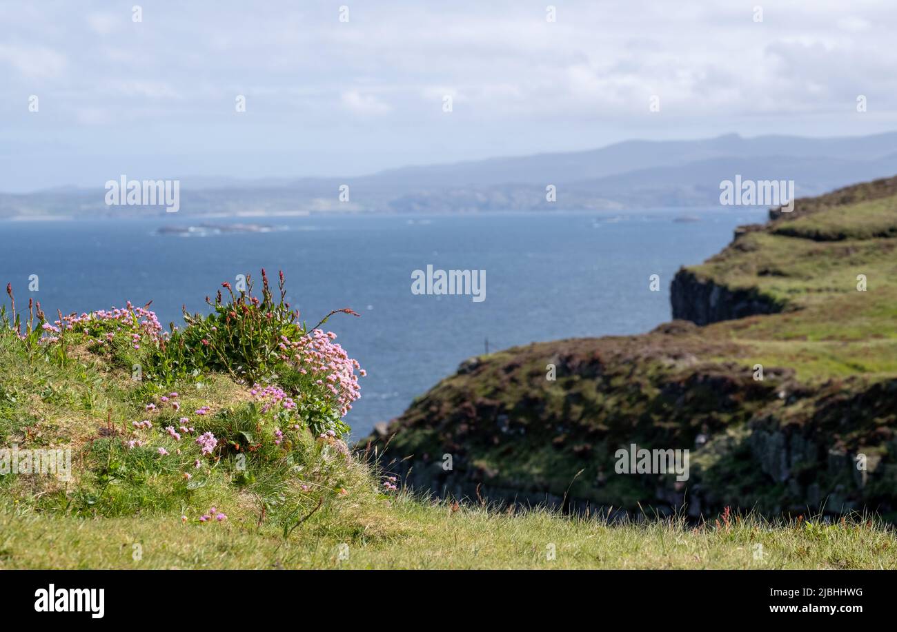 Cliffs of handa island hi-res stock photography and images - Alamy