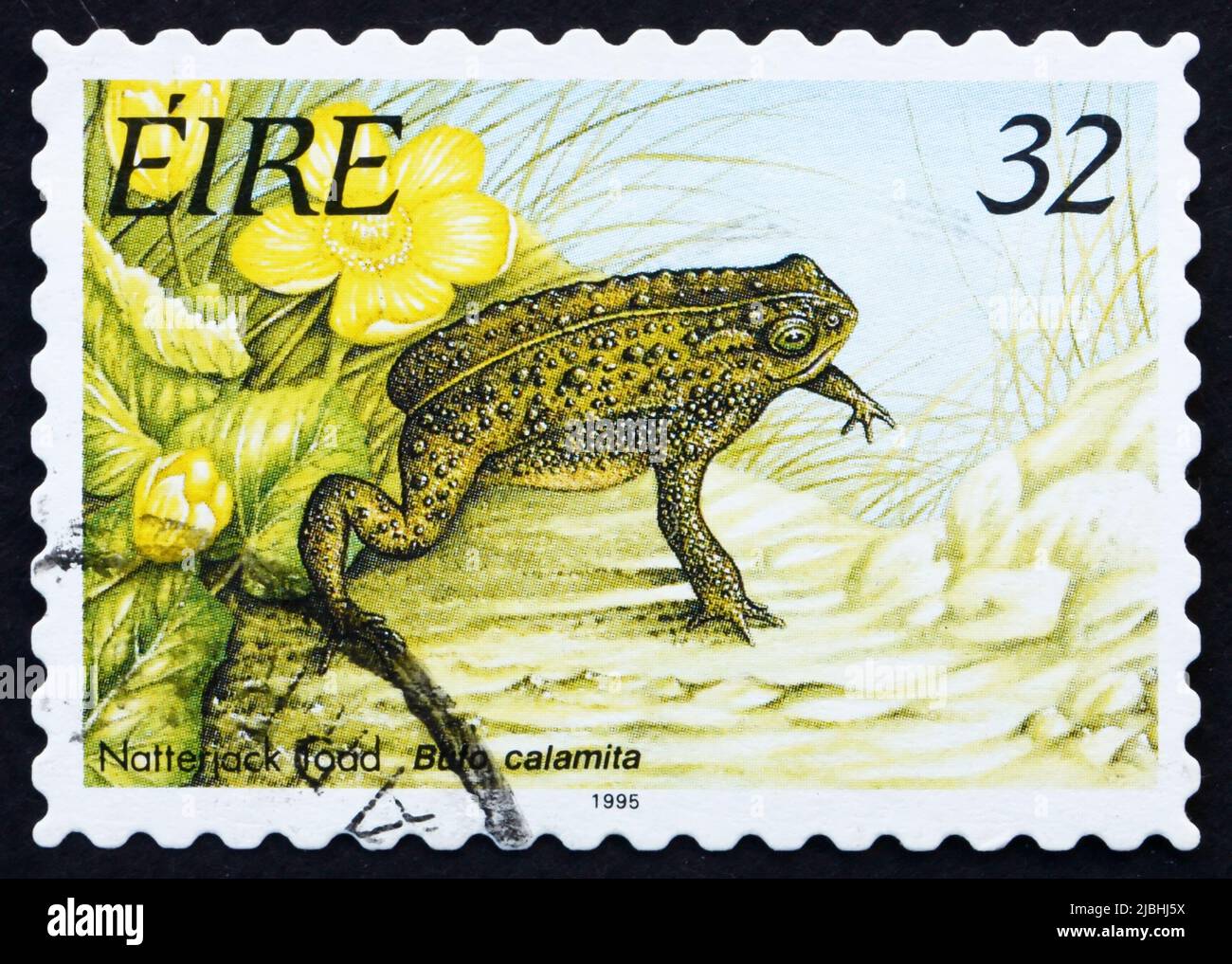IRELAND - CIRCA 1995: a stamp printed in the Ireland shows Natterjack ...