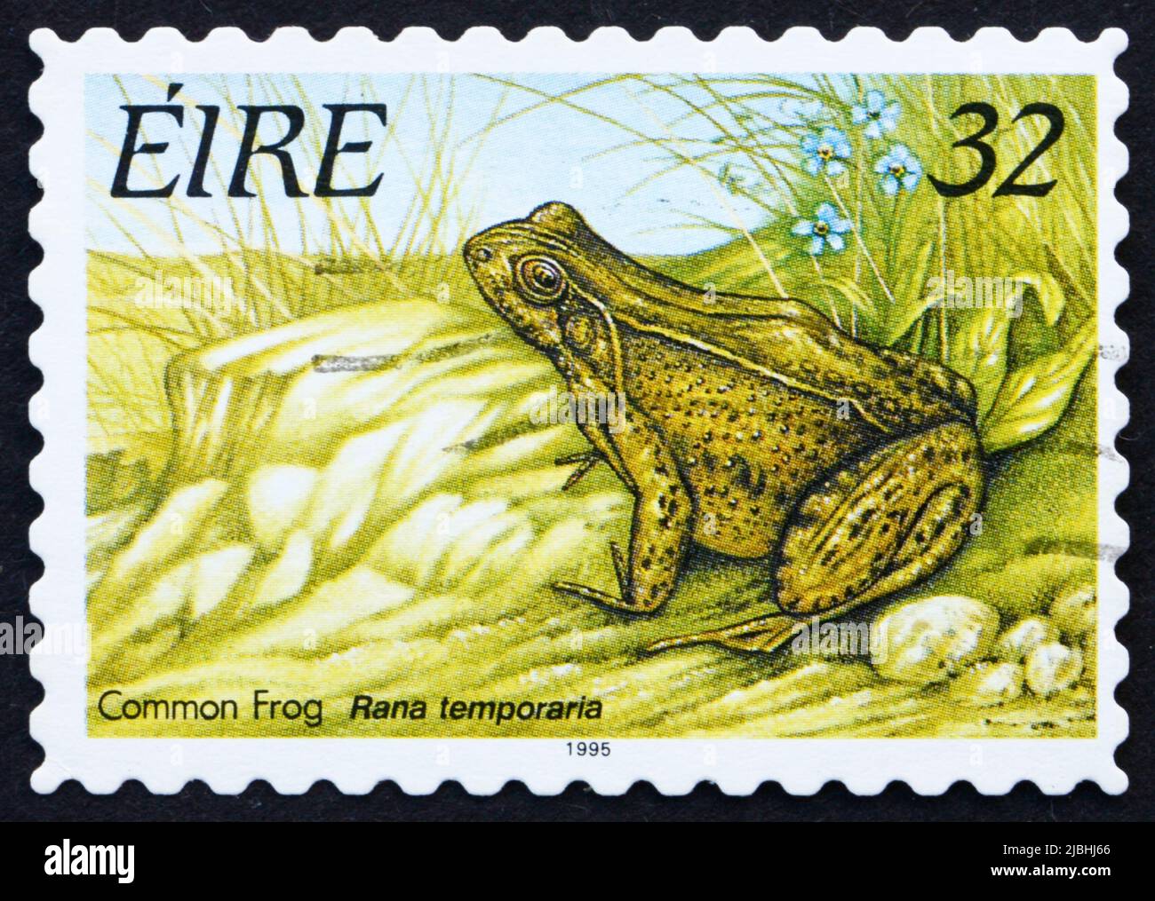 IRELAND - CIRCA 1995: a stamp printed in the Ireland shows Common Frog ...