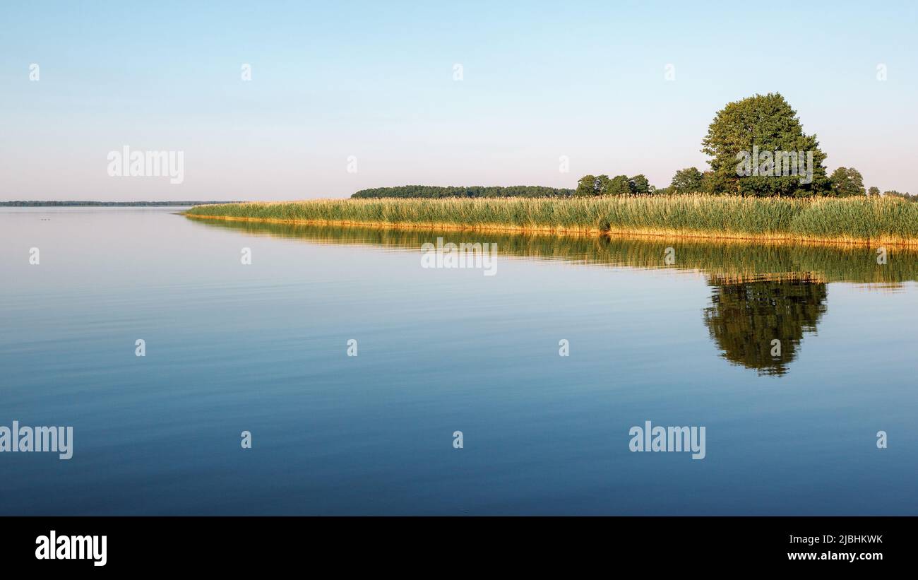 Calm and smooth water of the lagoon, and reflection of a large tree and ...