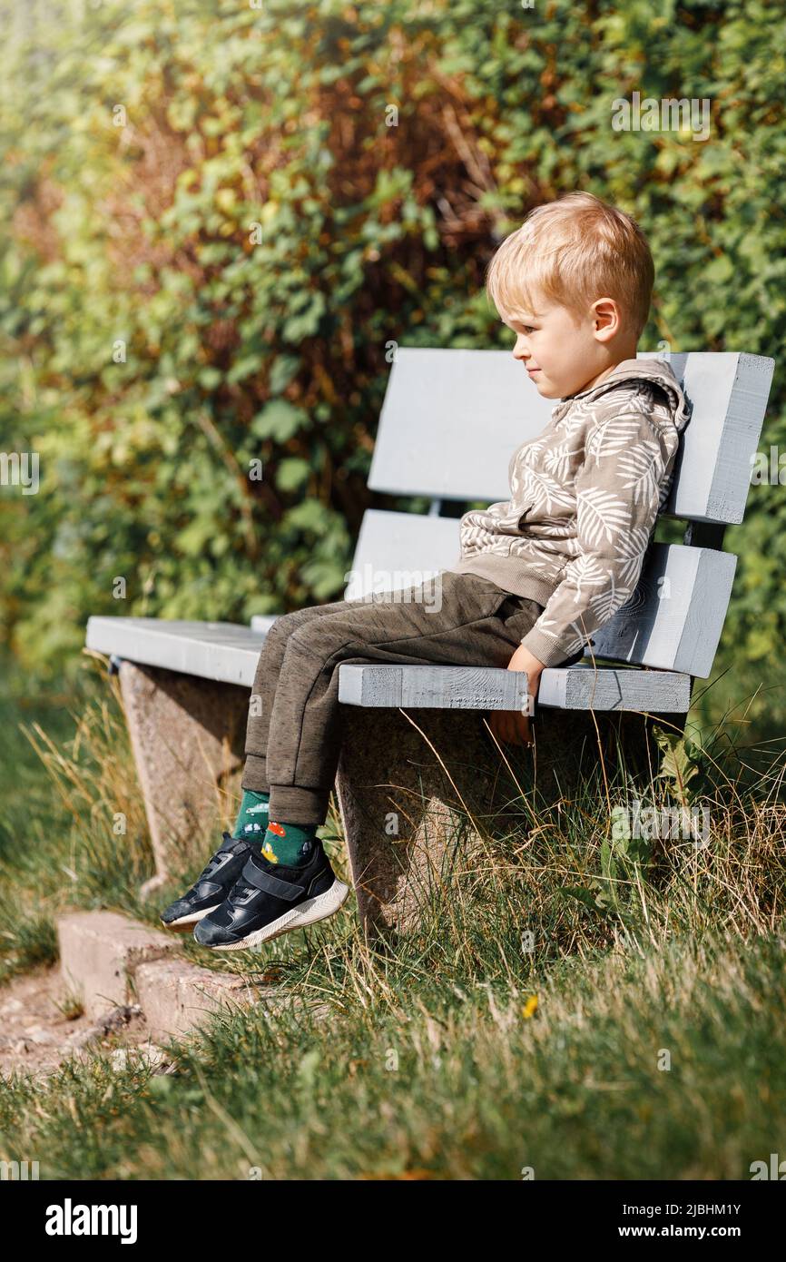 Charming little boy calmly sitting on the wooden bench in the city park ...