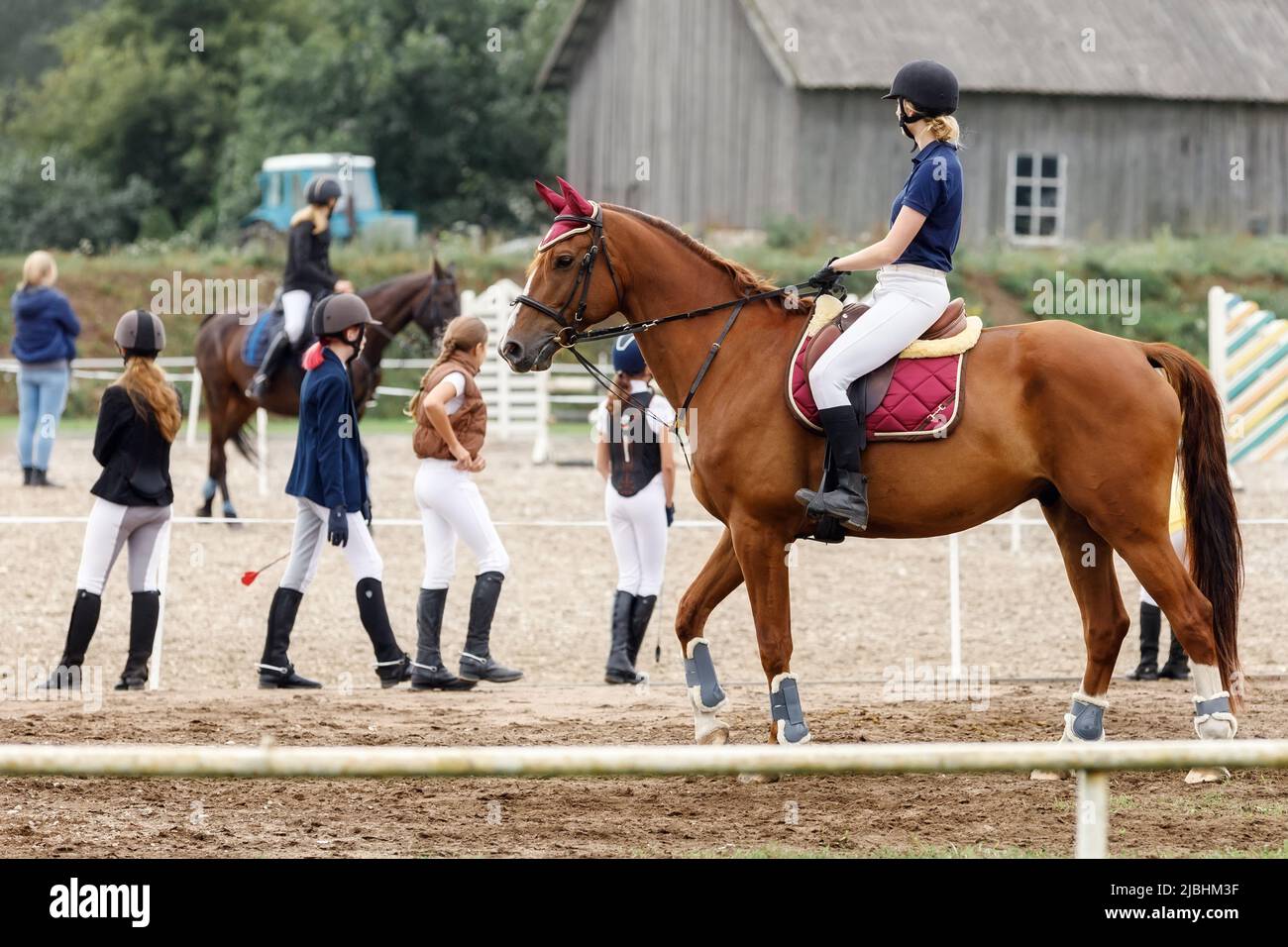 Young rider girl on bay horse before dressage competition. Equestrian ...