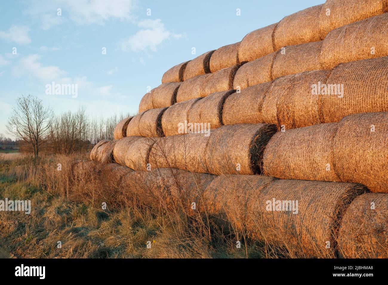 Photo a lot of bales of hay stacked on top of each other against the ...