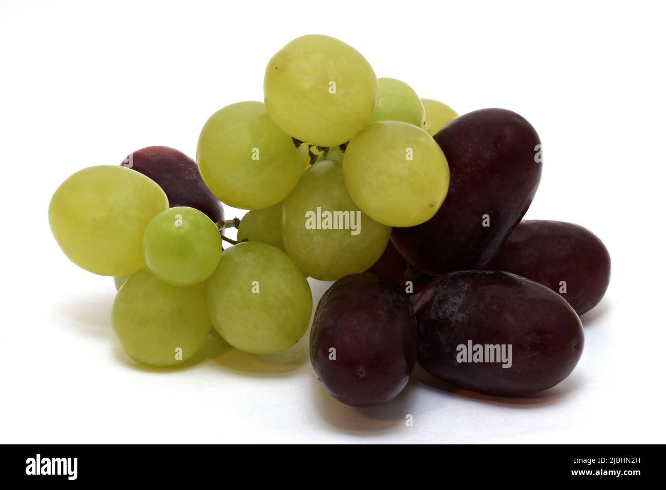 Grapes green studio hi-res stock photography and images - Alamy