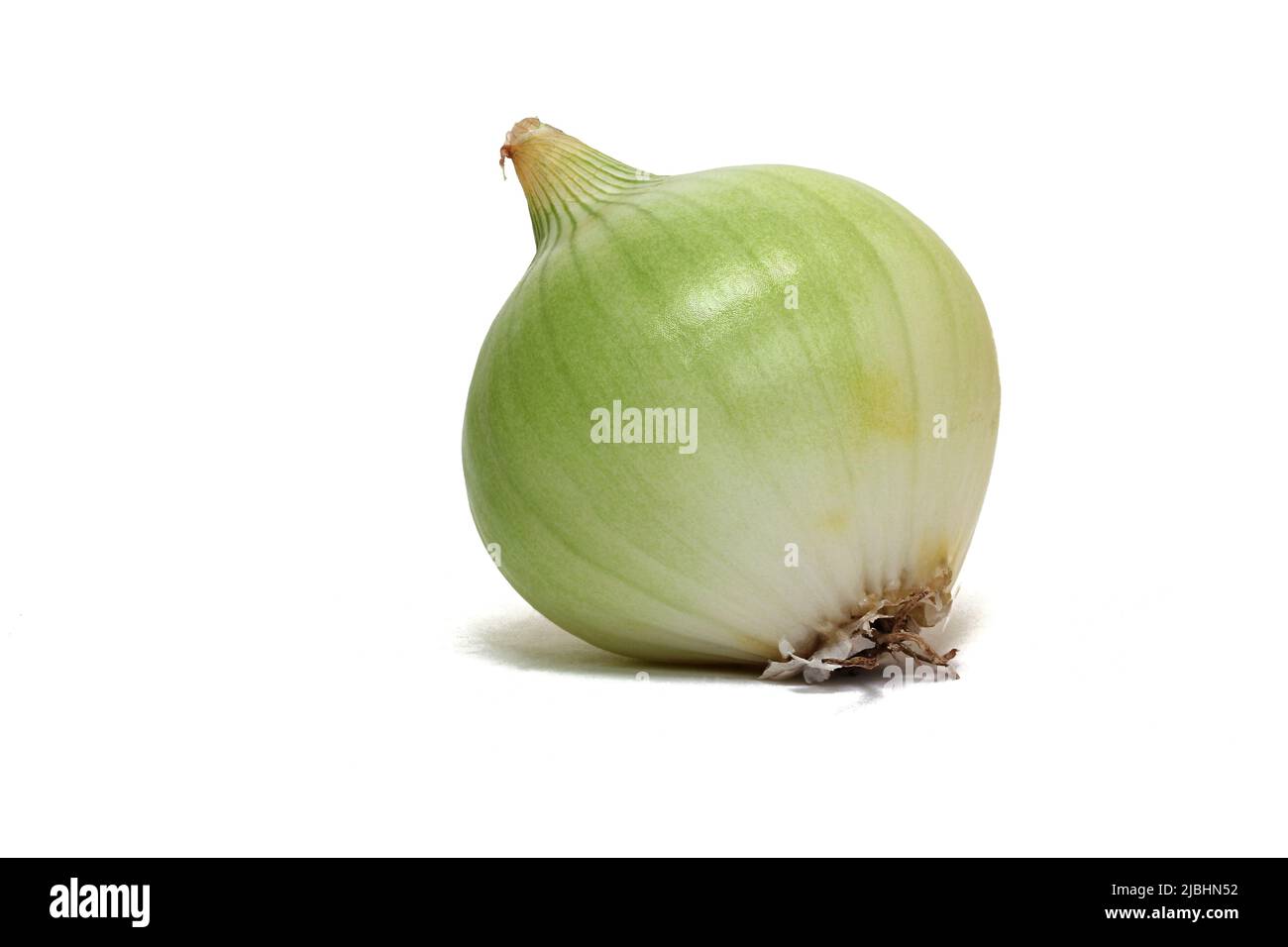 Organic white onion isolated on white background Stock Photo - Alamy